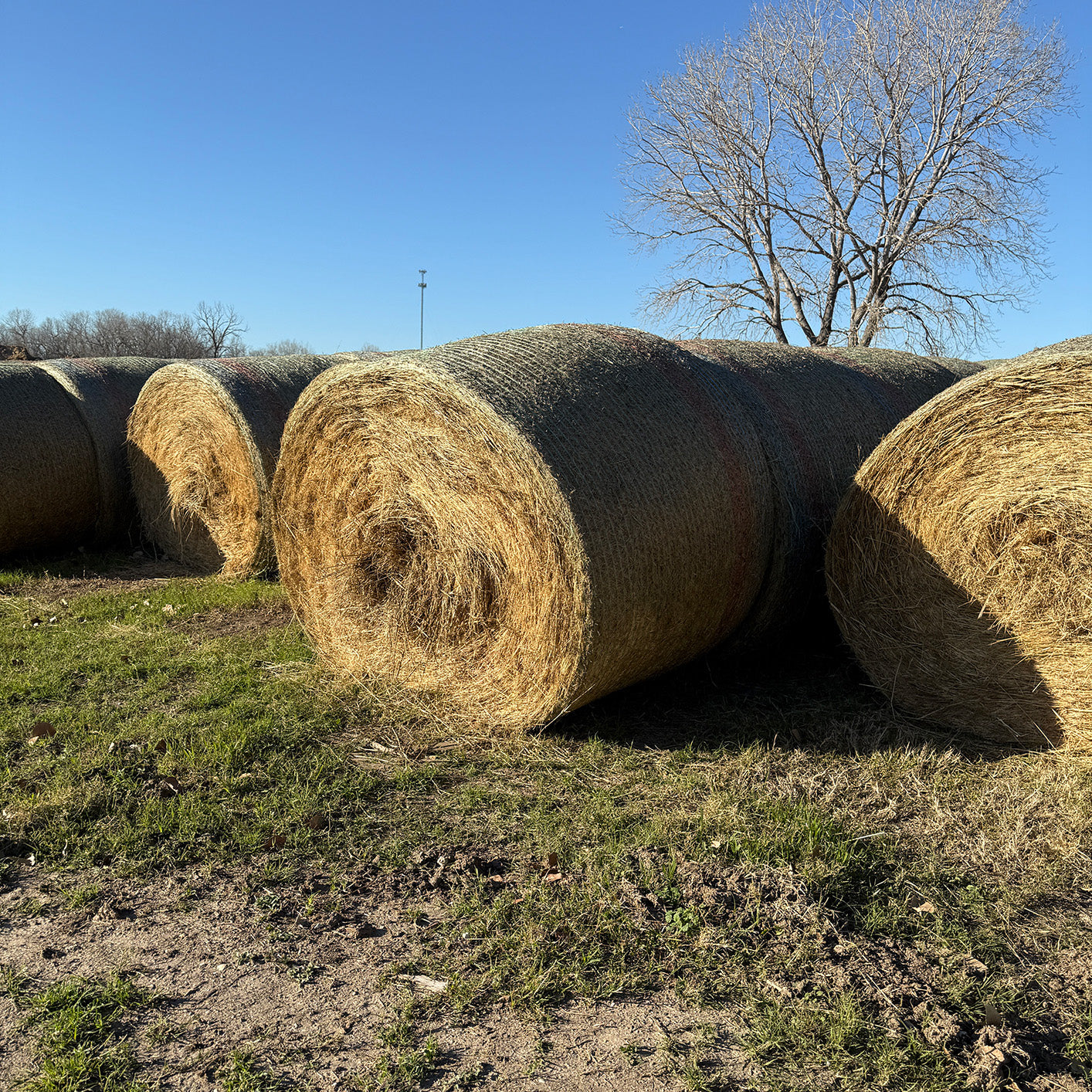 Hay – Clear Fork Materials